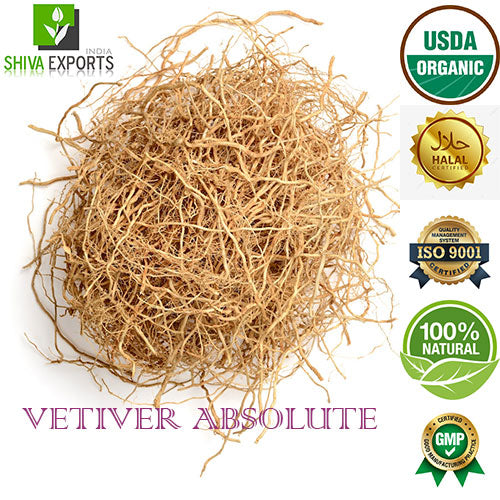Vetiver Oil Buy Ruh Khus Green Oil Extracted from Vetiveria Zizanioides Shiva Exports India