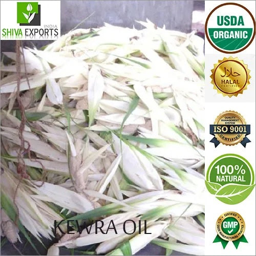 Kewra Essential Oil – Shiva Exports India