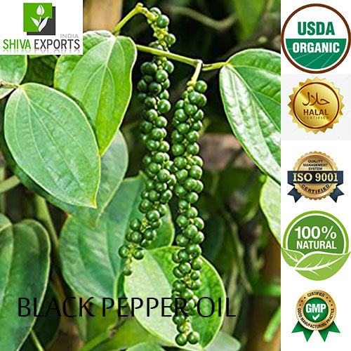 Black Pepper Co2 Extract Oil - CO2 Black Pepper Extract Oils – Shiva ...